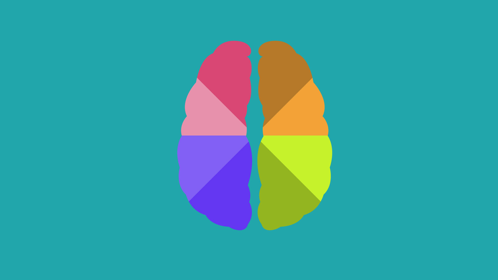 Thinking in colour - Cobo Creative